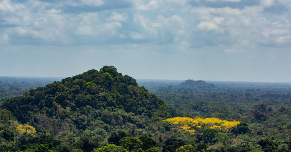 Belize_Landscape_Social_Card_ 1200x628 - Wild Earth Allies