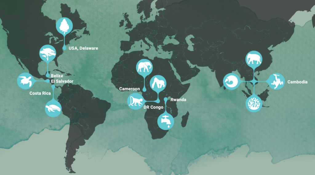 Growing Our Global Impact, Together: 2023 Mid-Year Progress Report ...