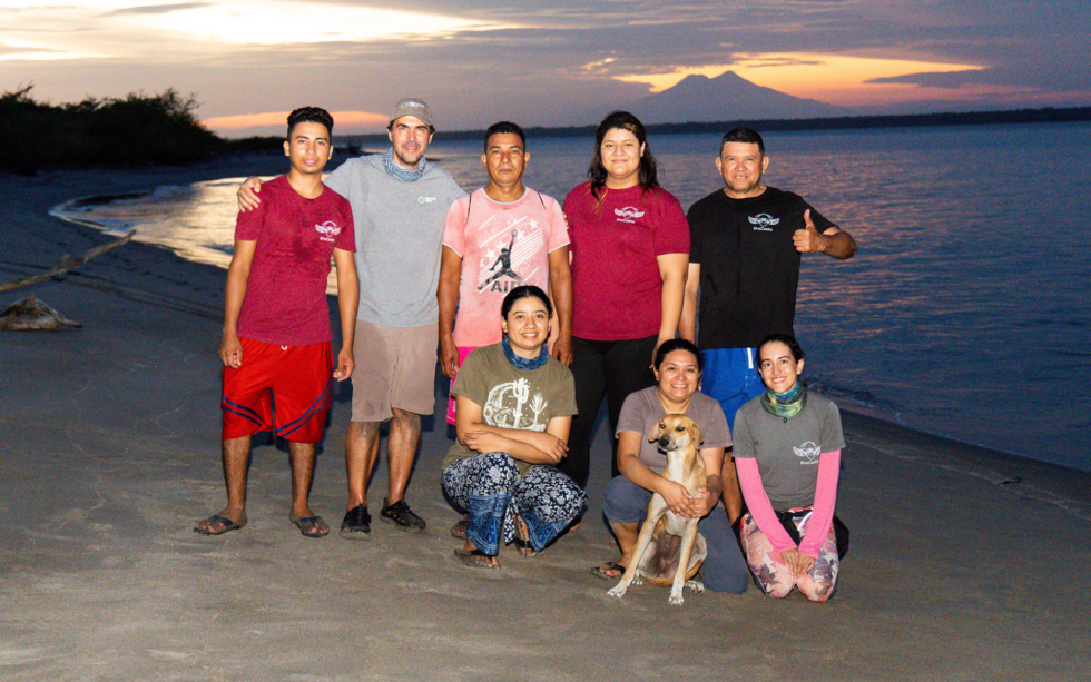 A Hawksbill Conservation Success Story: Behind the Scenes with ProCosta - Wild Earth Allies