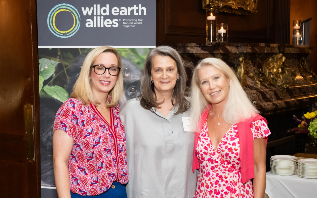 Reflecting on Decades of Community-Based Conservation - Wild Earth Allies